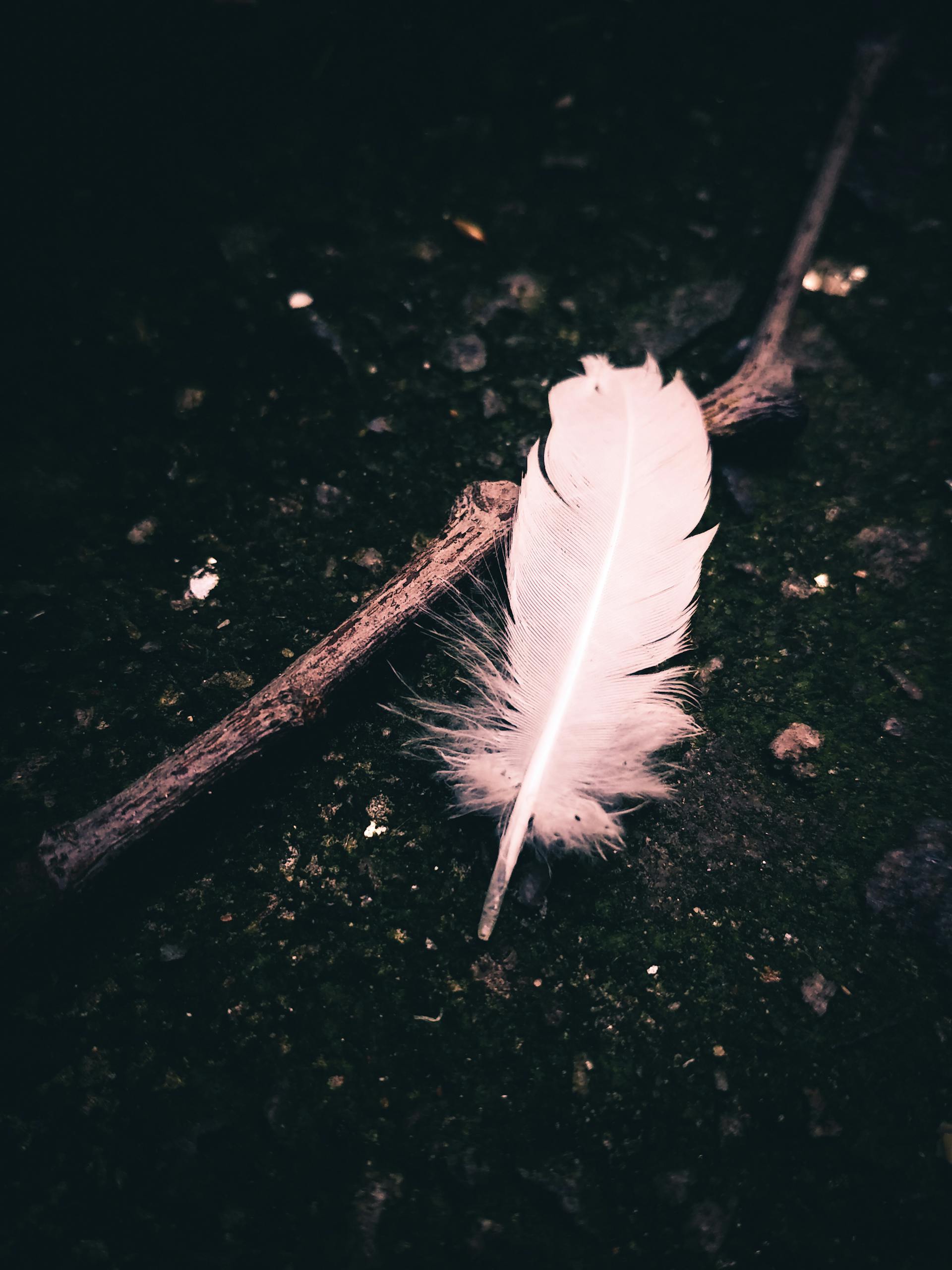 The Story Behind the Song: “Angel Feather” – Wendy's Writings